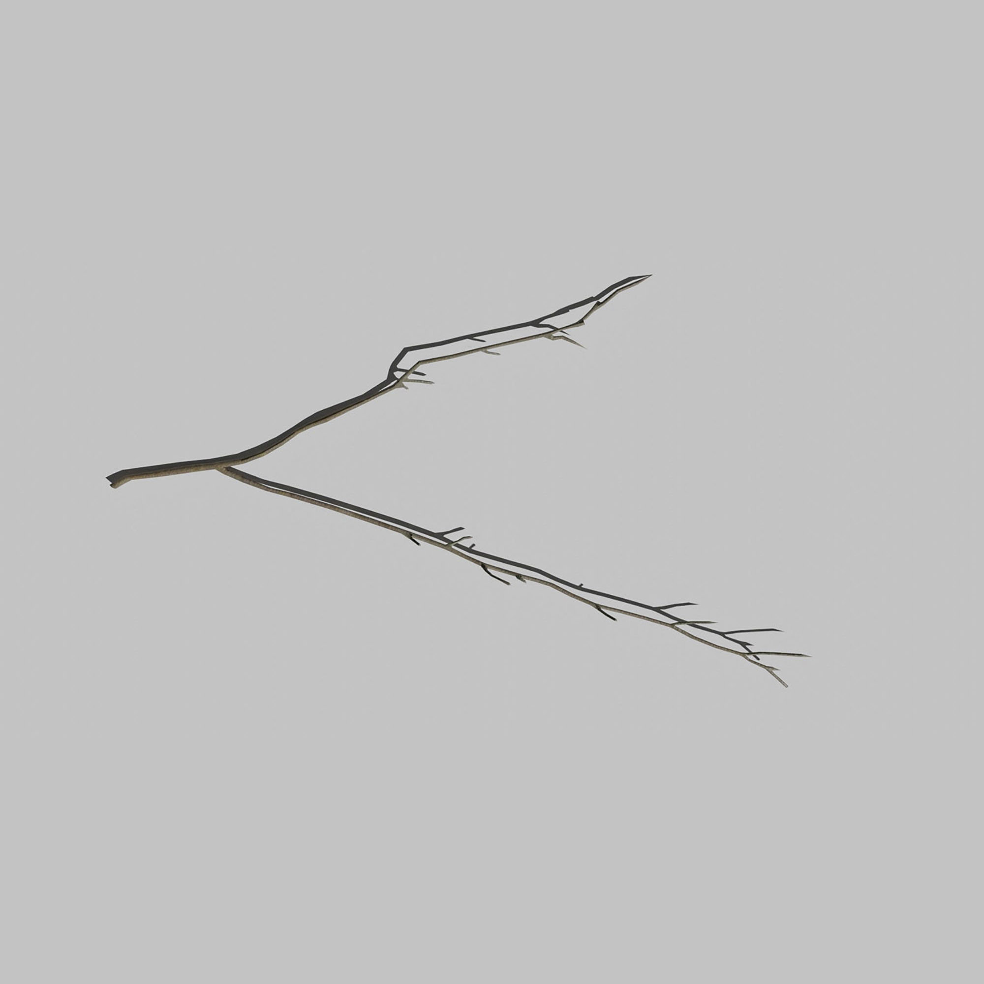 3D model Mountain Ash Twigs VR / AR / low-poly | CGTrader