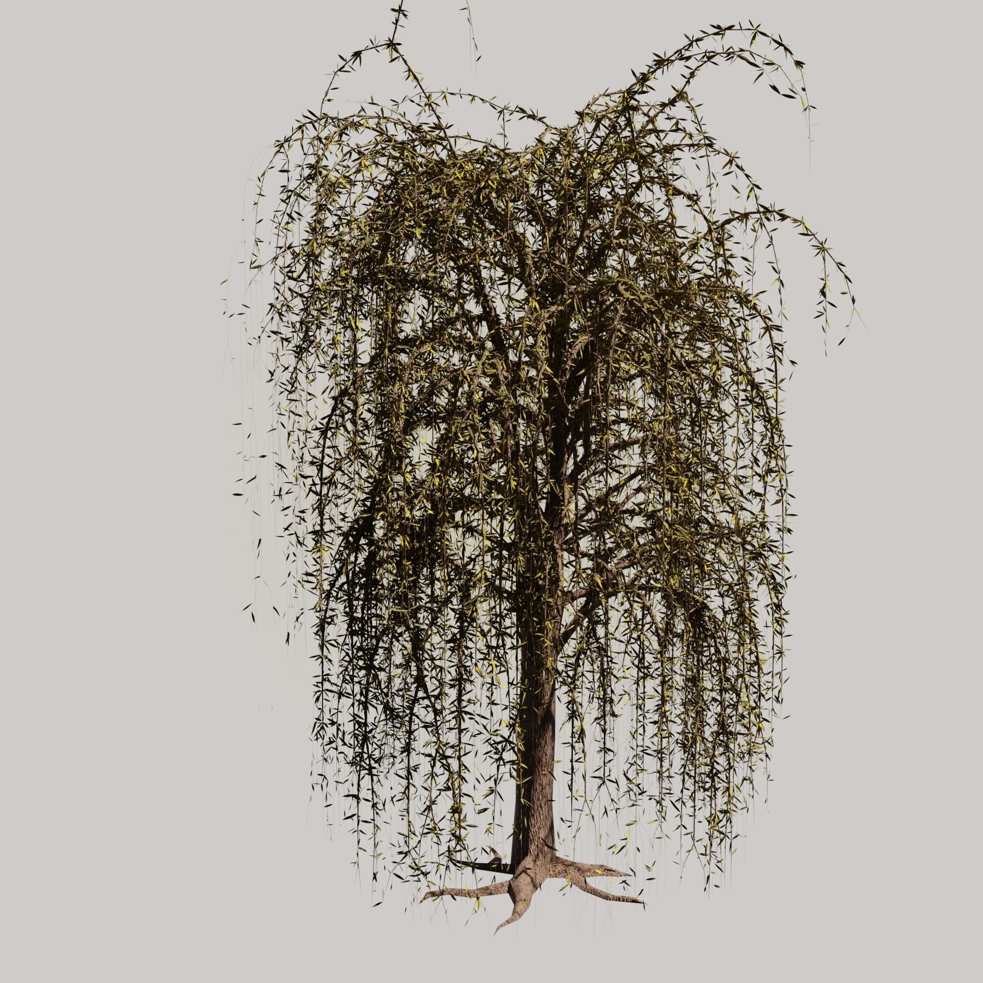 The Willow Tree high poly 3D model free 3D model | CGTrader