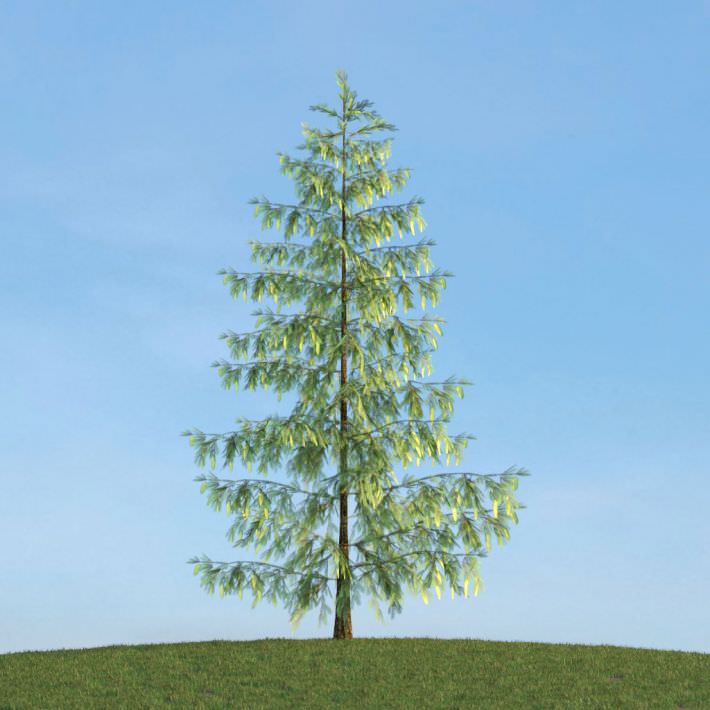 Green Tree 3D model | CGTrader