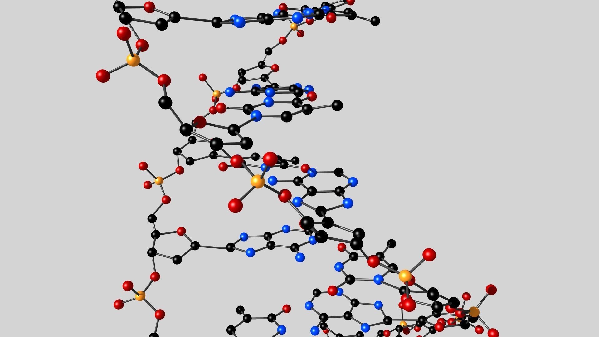 DNA double helix 3D model | CGTrader