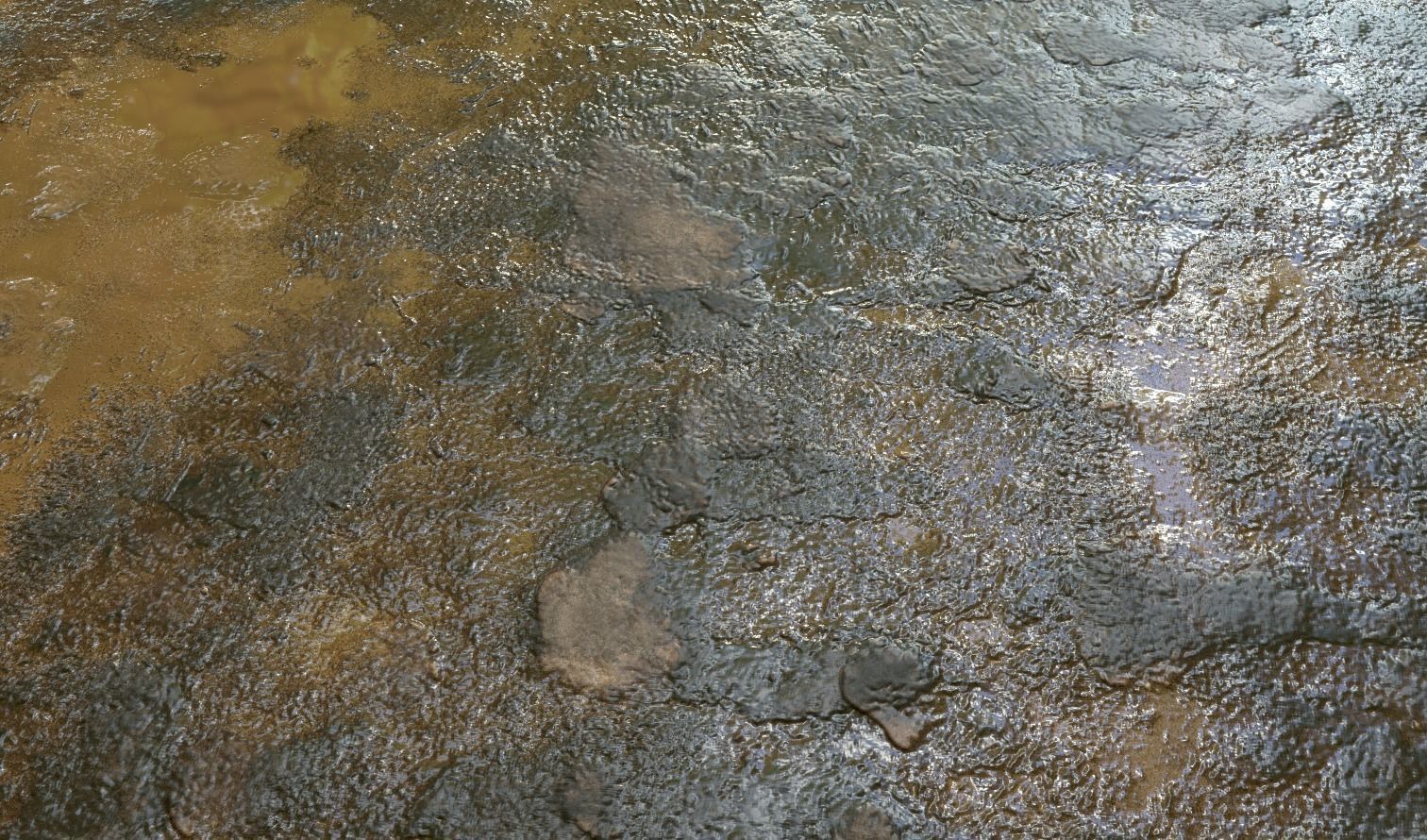 Swamp Mud PBR Material Texture | CGTrader