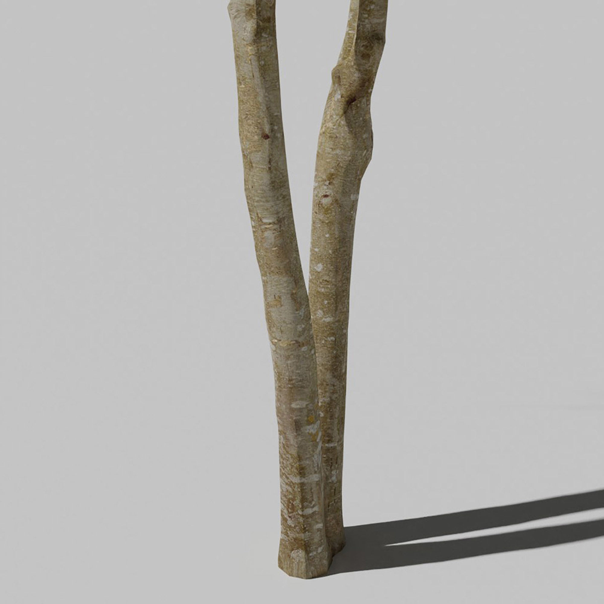 Dry Mountain Ash Tree 3D model | CGTrader