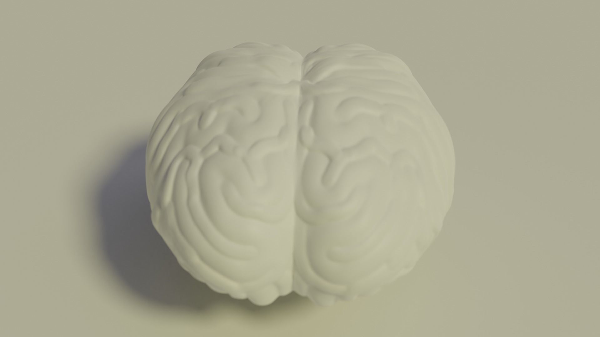 Simple Brain 3D model 3D printable | CGTrader
