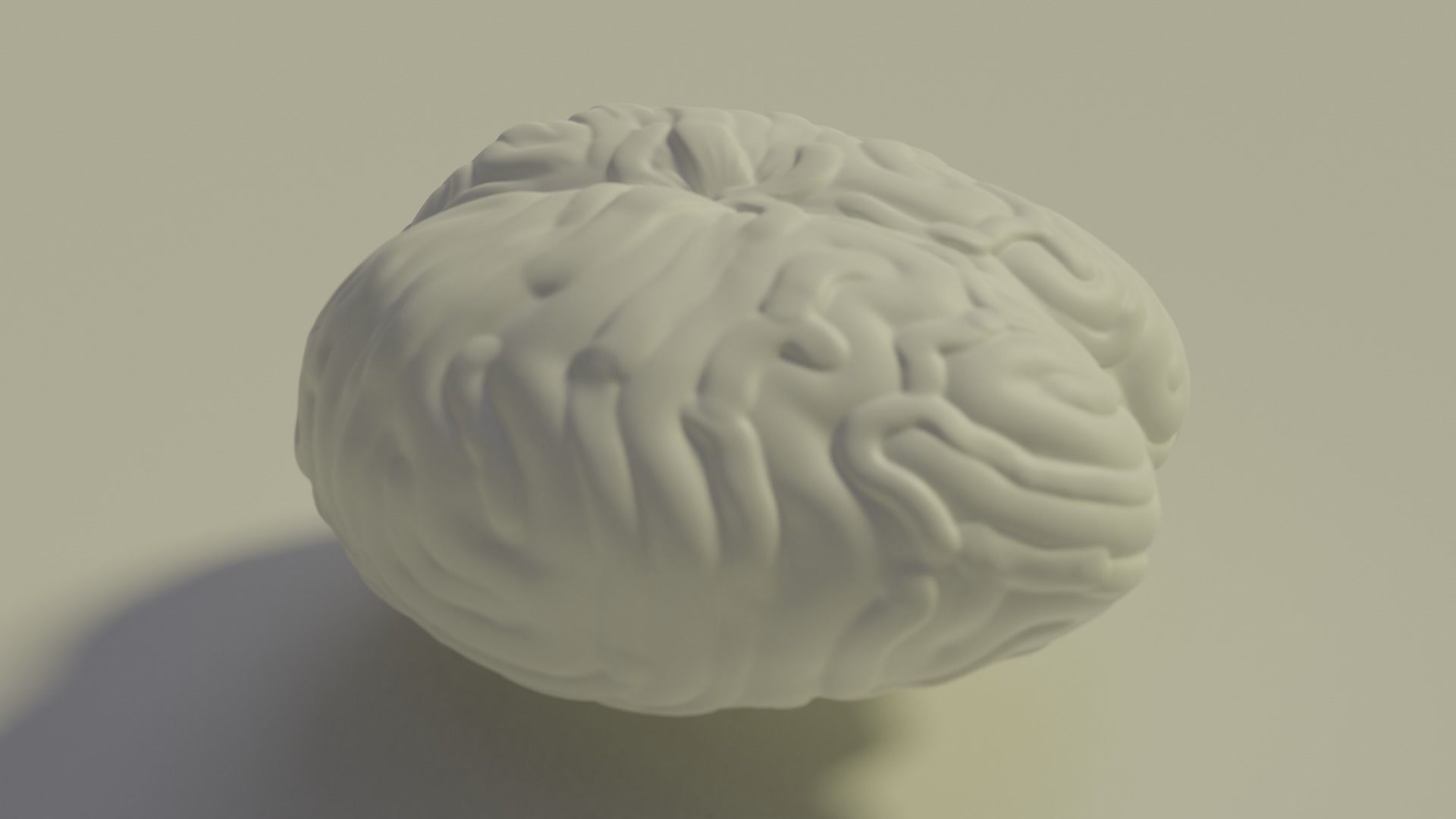 Simple Brain 3D model 3D printable | CGTrader