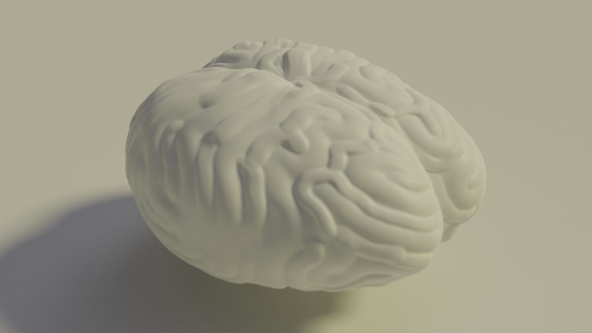 Simple Brain 3D model 3D printable | CGTrader