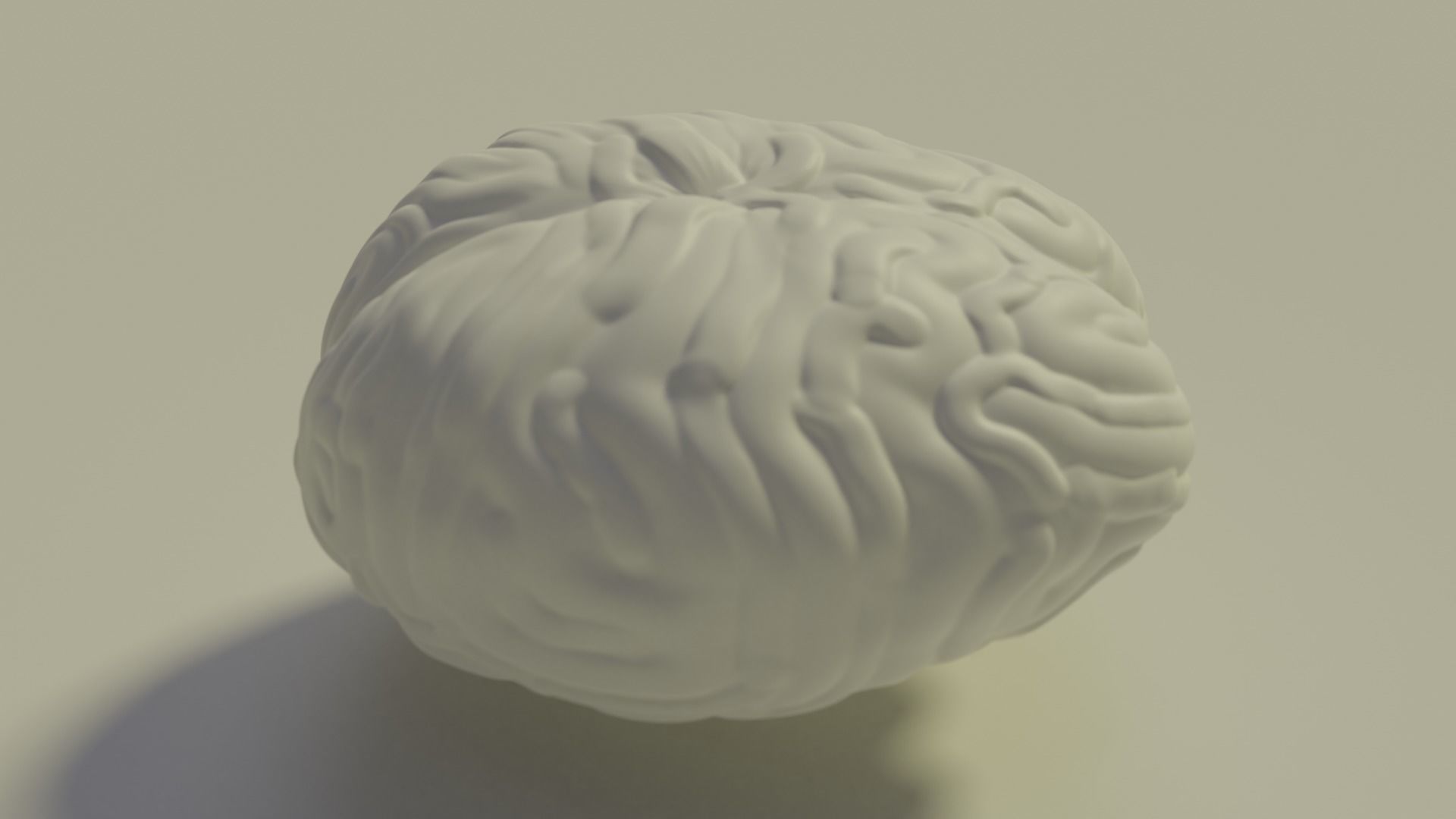 Simple Brain 3D model 3D printable | CGTrader