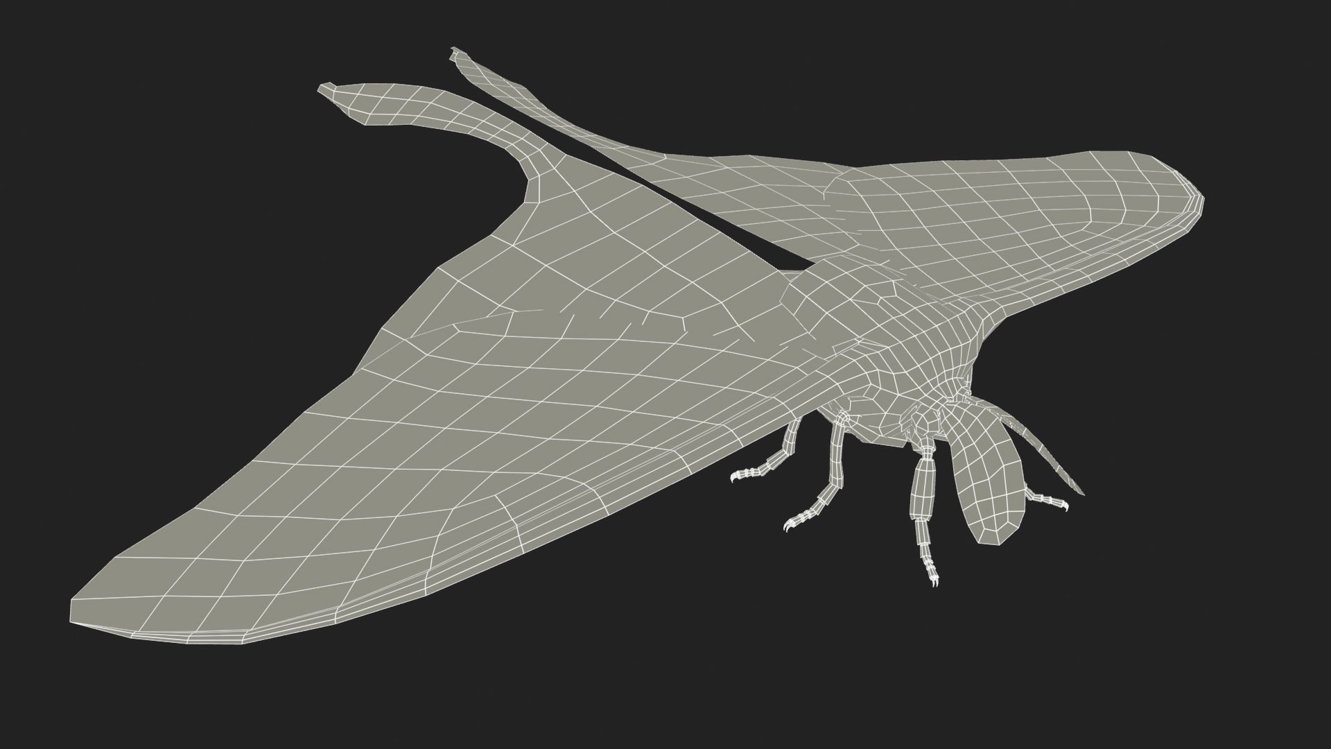 3D model Luna Moth VR / AR / low-poly rigged animated | CGTrader