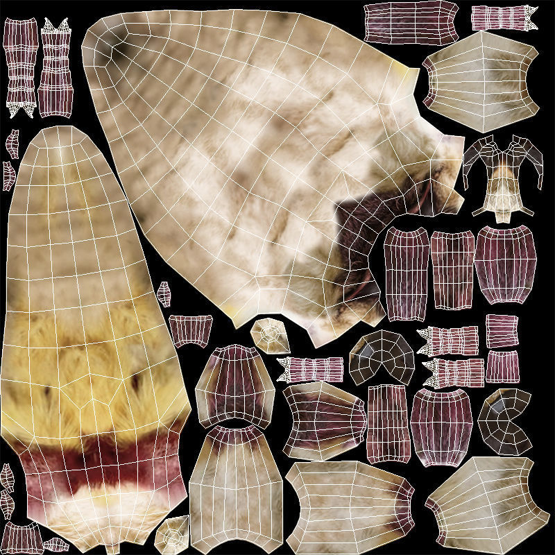 3D model Luna Moth VR / AR / low-poly rigged animated | CGTrader