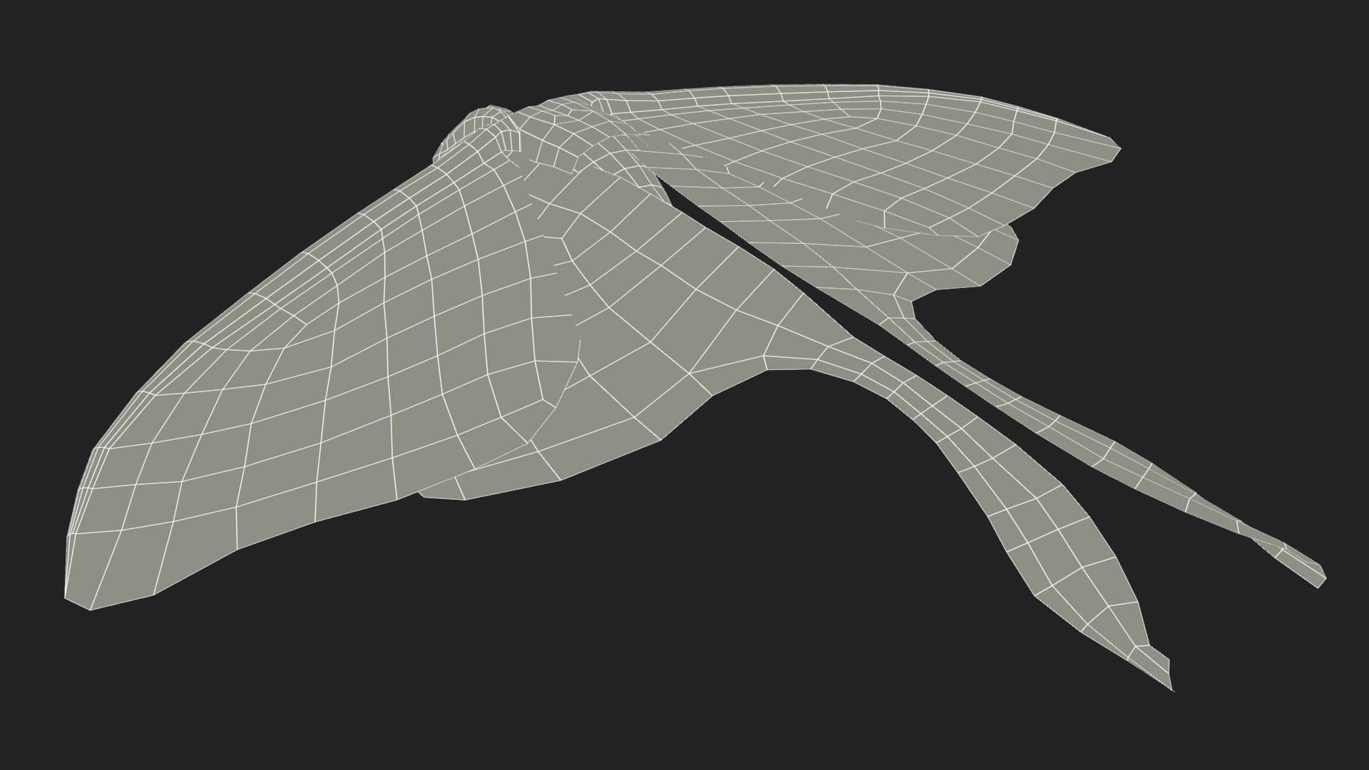 3D model Luna Moth VR / AR / low-poly rigged animated | CGTrader