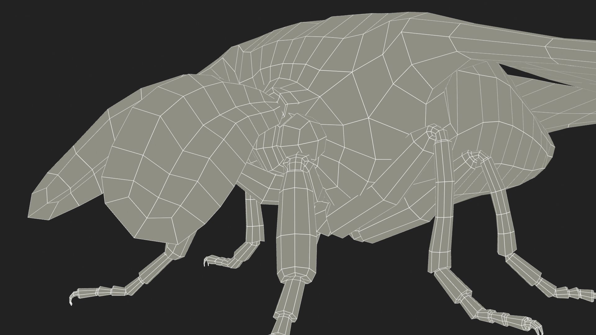 3D model Luna Moth VR / AR / low-poly rigged animated | CGTrader