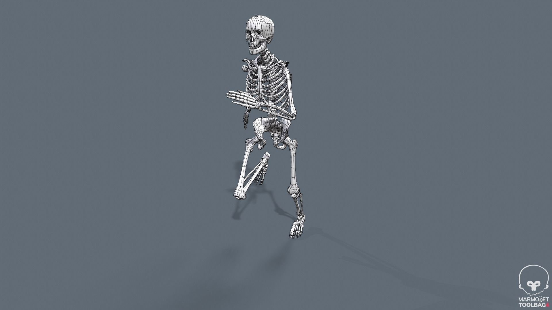 3D model Lowpoly Male Human Skeleton VR / AR / low-poly | CGTrader
