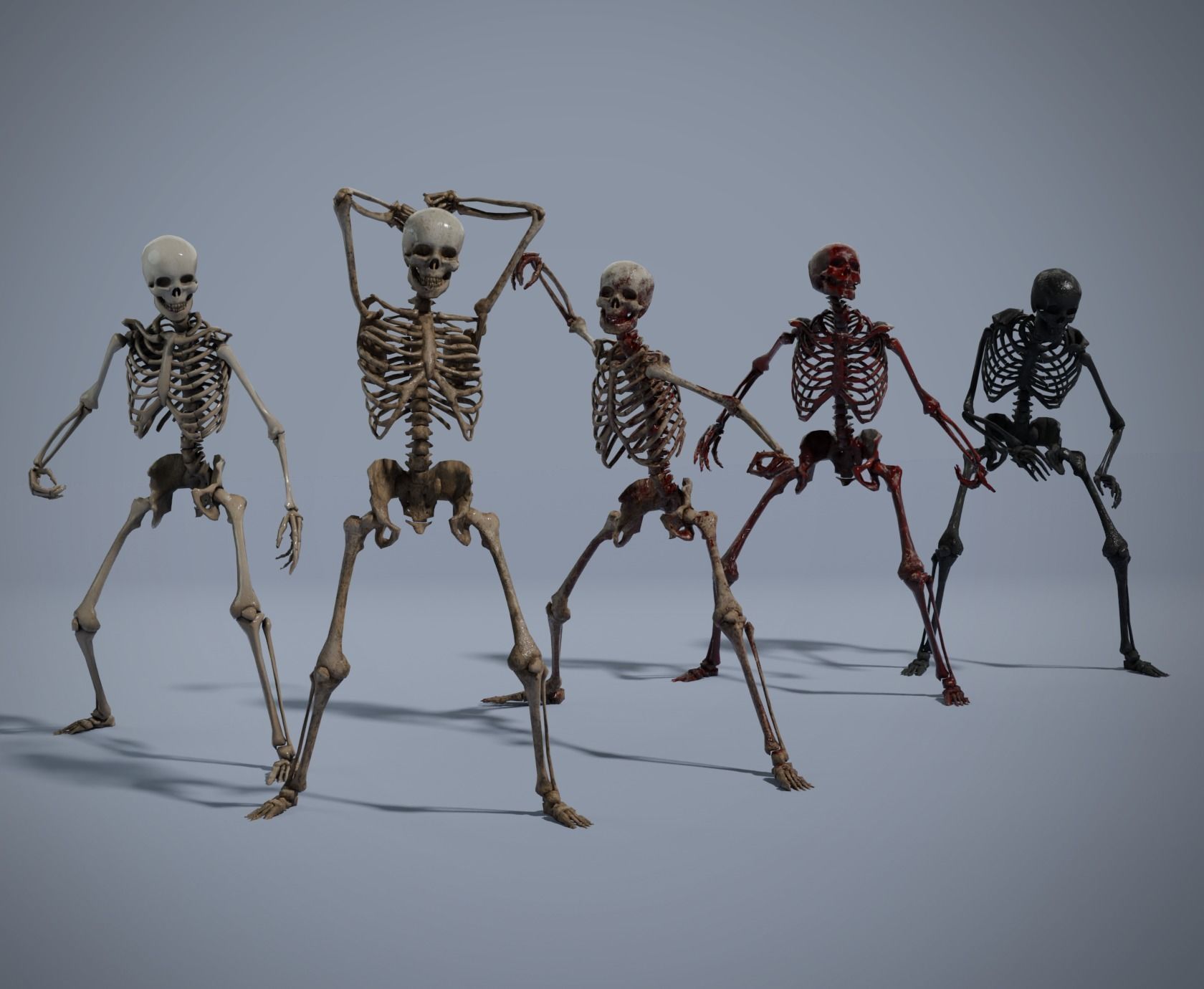 3D model Lowpoly Male Human Skeleton VR / AR / low-poly | CGTrader