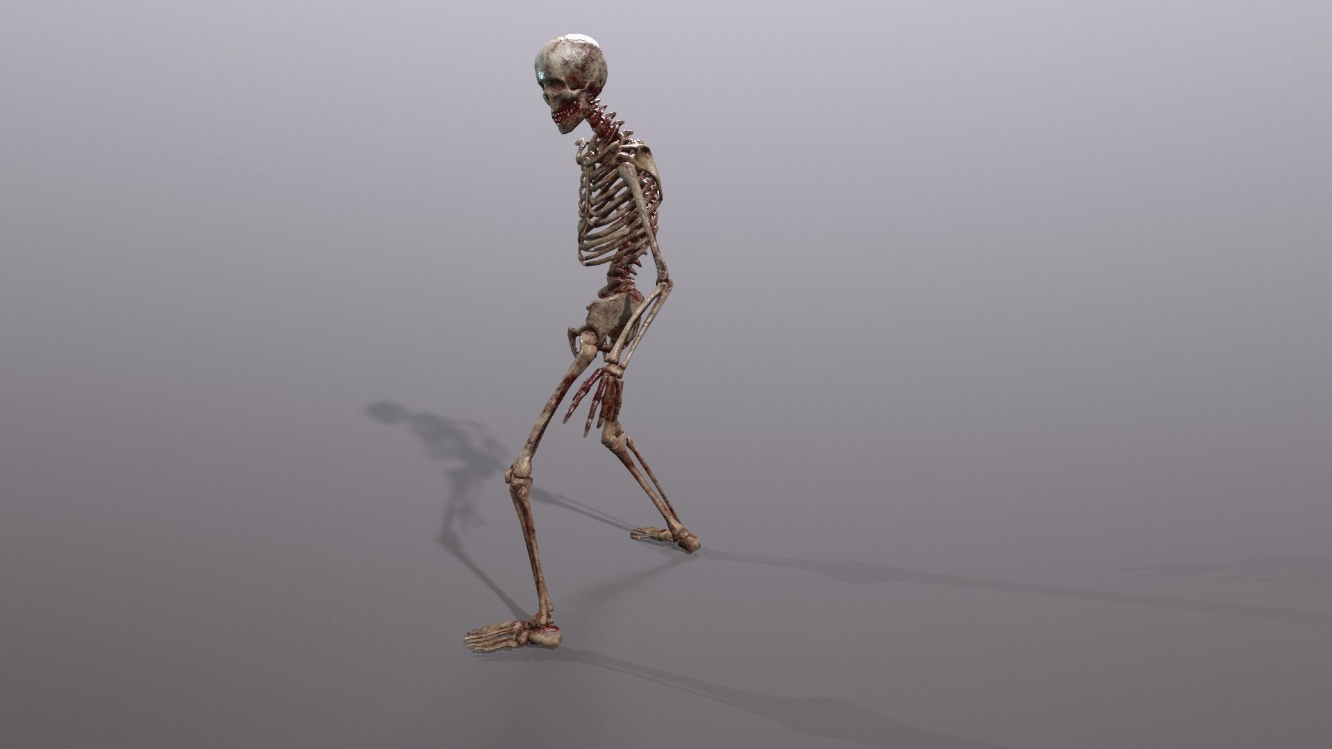3D model Lowpoly Male Human Skeleton VR / AR / low-poly | CGTrader