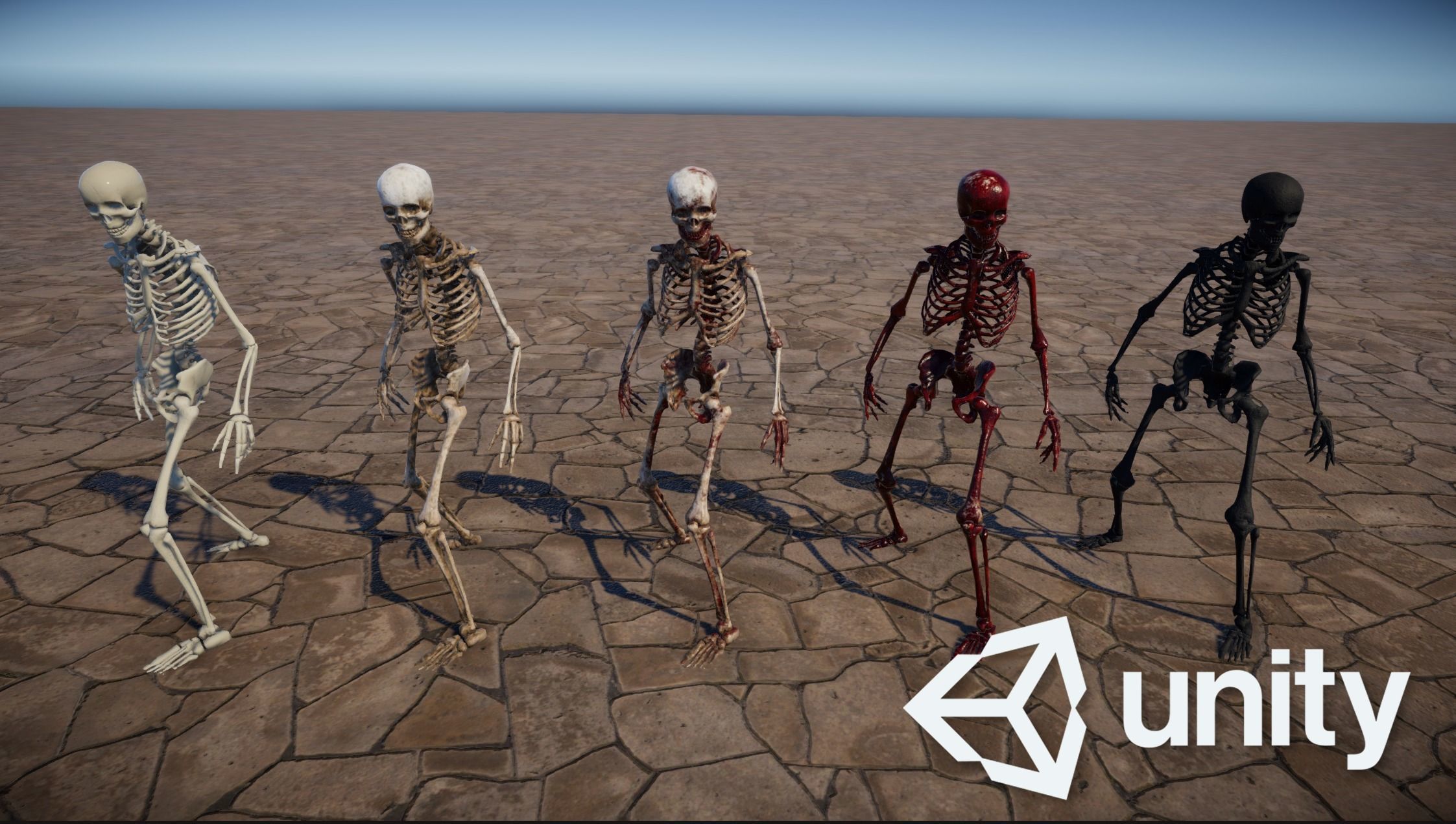3D model Lowpoly Male Human Skeleton VR / AR / low-poly | CGTrader