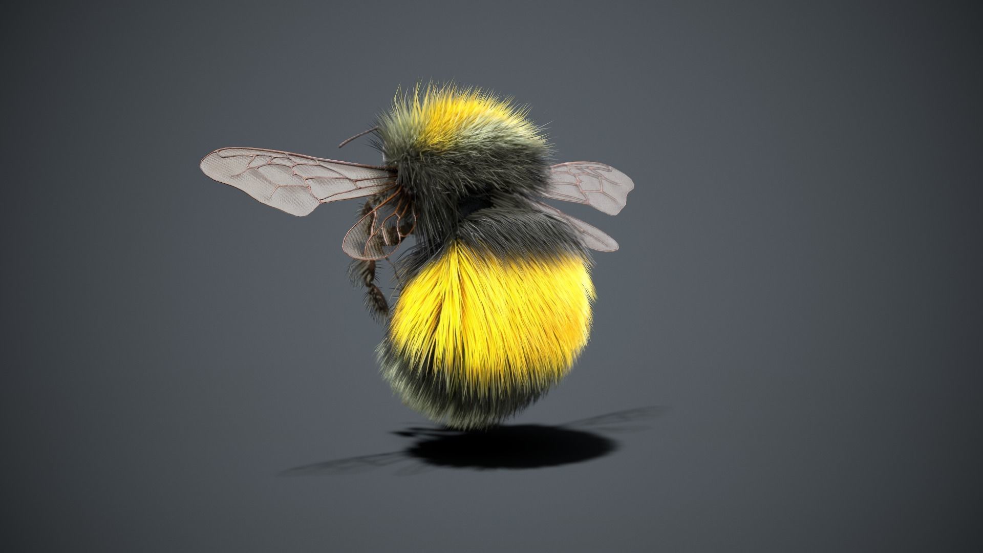 3D model Bumblebee rigged PBR VR / AR / low-poly | CGTrader