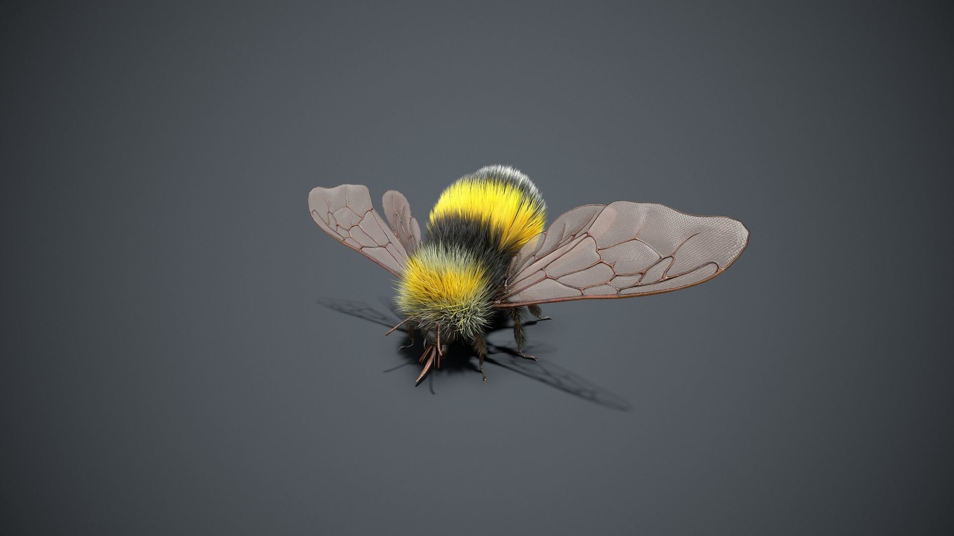 3D model Bumblebee rigged PBR VR / AR / low-poly | CGTrader
