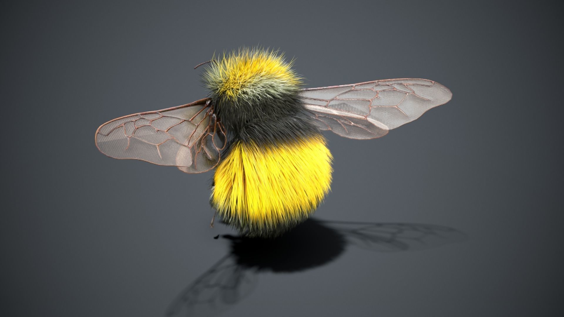 3D model Bumblebee rigged PBR VR / AR / low-poly | CGTrader