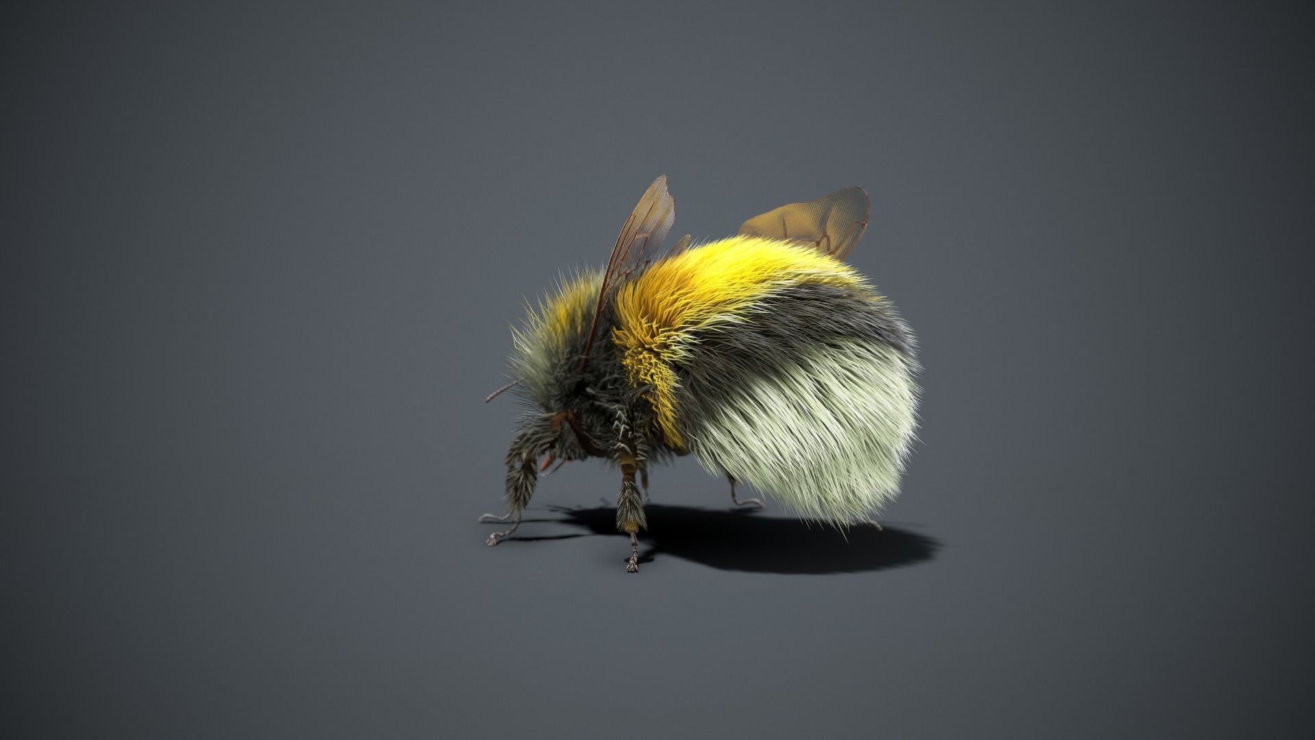 3D model Bumblebee rigged PBR VR / AR / low-poly | CGTrader