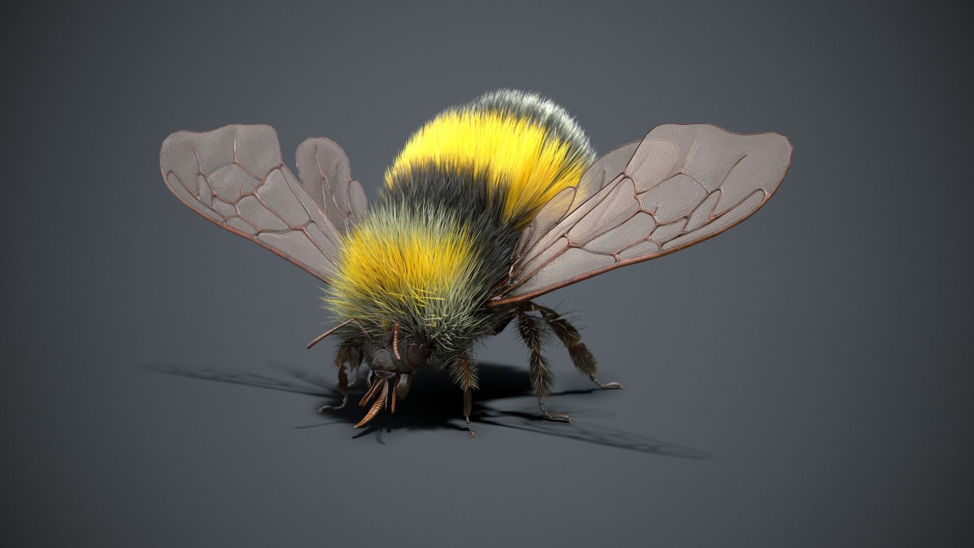 3D model Bumblebee rigged PBR VR / AR / low-poly | CGTrader