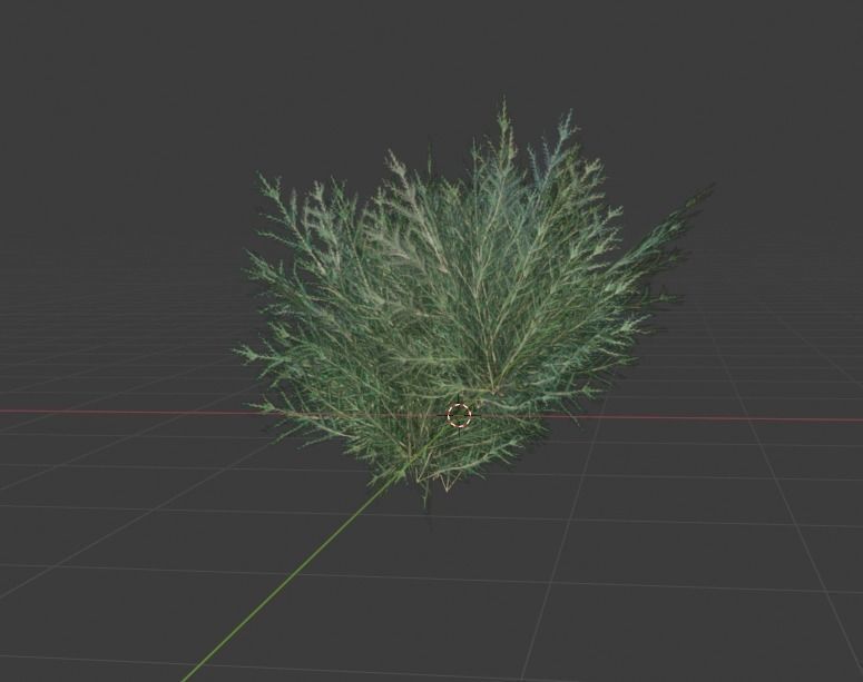 5 Basic Low Poly Desert Shrubs free VR / AR / low-poly 3D model | CGTrader