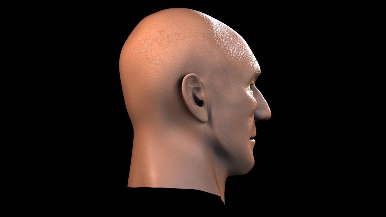 patrick stewart 3d model low poly high quality free VR / AR / low-poly ...