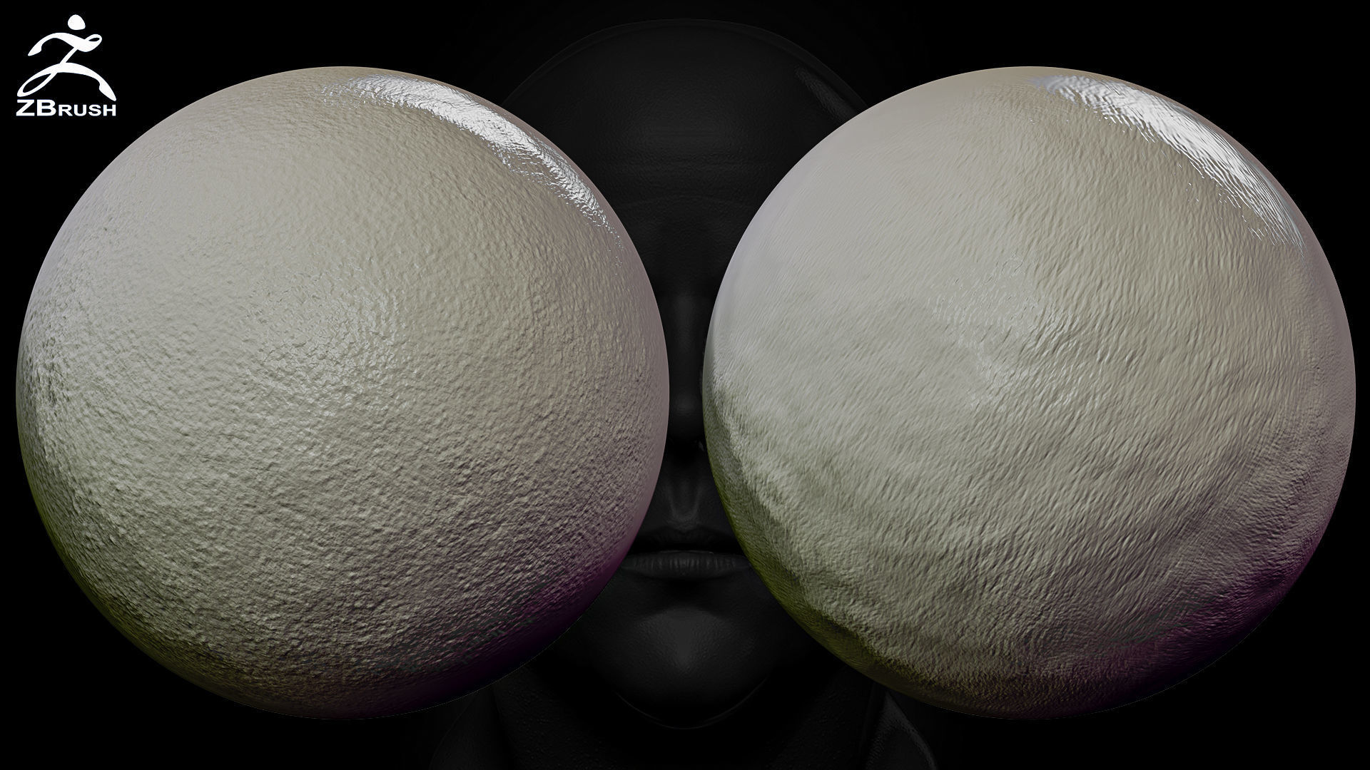 Skin Brush and Alphas for ZBrush 3D model | CGTrader