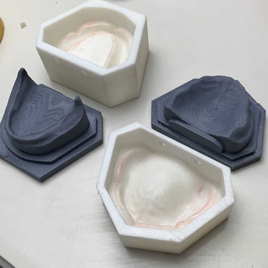 Silicon gum mold data for edentulous models 3D model 3D printable ...