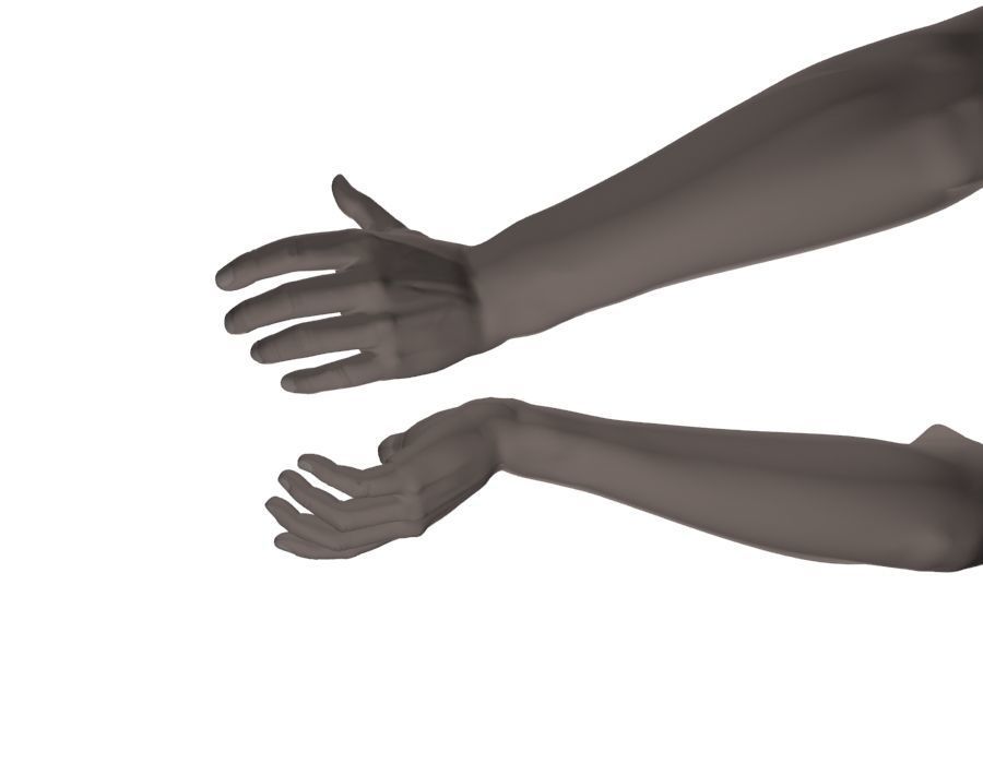 Cupped hands and arm 3D model | CGTrader