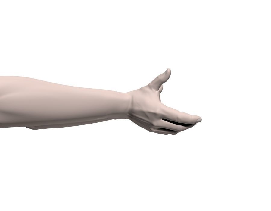 Cupped hands and arm 3D model | CGTrader