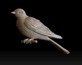 Cuckoo 3D Print Models | CGTrader