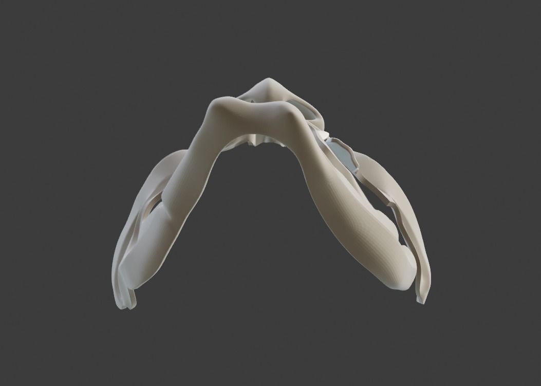 Skeletal Vengeance mask from Ghost of Tsushima 3D model 3D printable ...