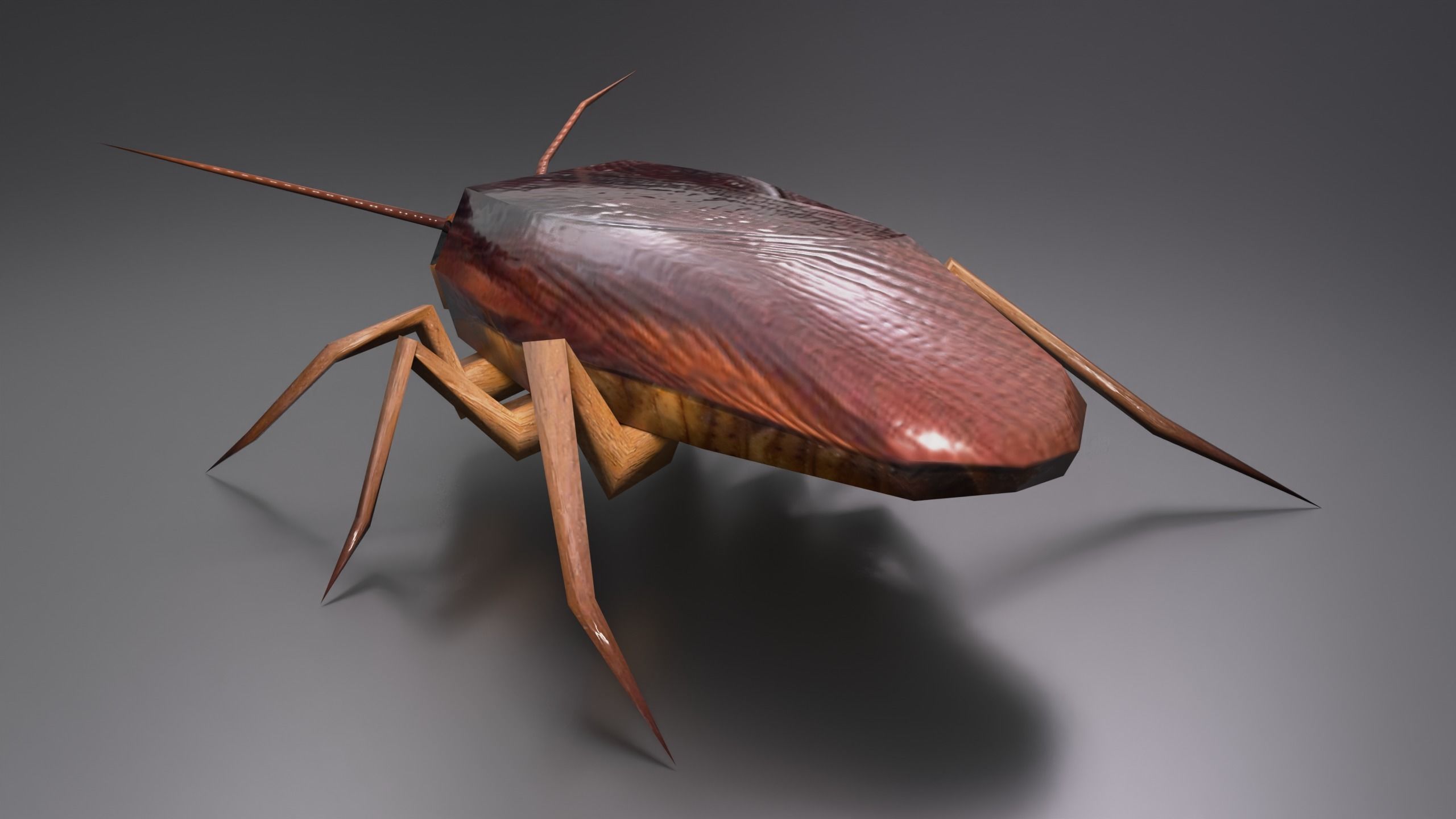 3D model Cockroach VR / AR / low-poly | CGTrader