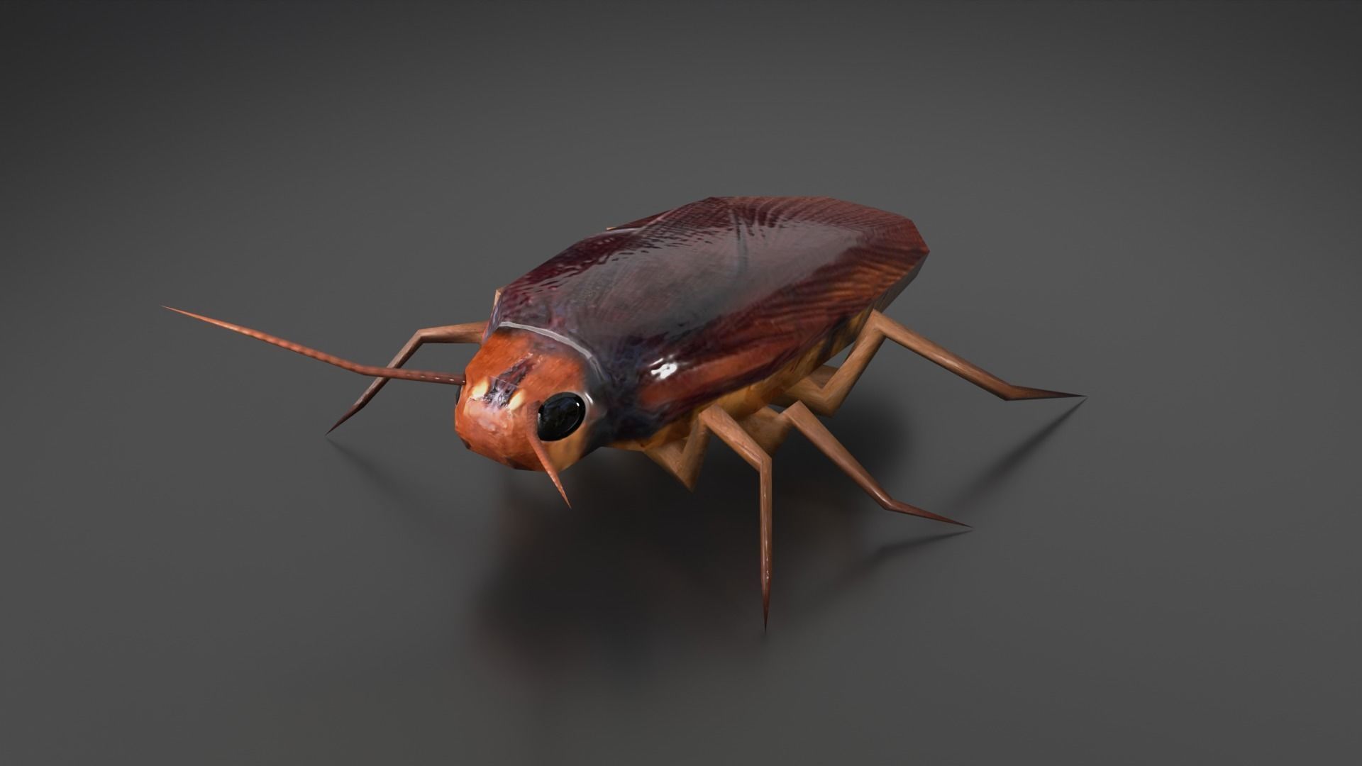 3D model Cockroach VR / AR / low-poly | CGTrader