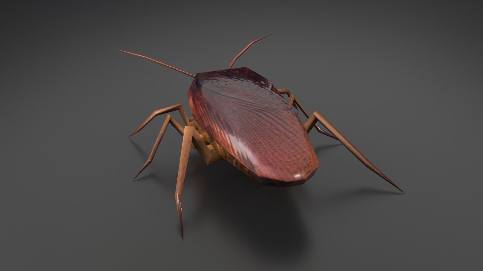 3D model Cockroach VR / AR / low-poly | CGTrader