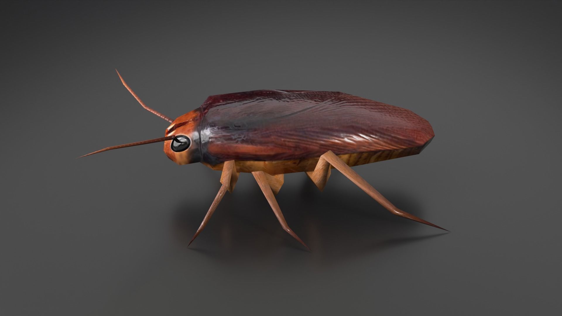 3D model Cockroach VR / AR / low-poly | CGTrader
