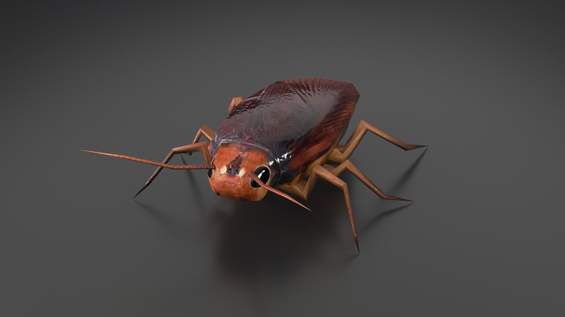 3D model Cockroach VR / AR / low-poly | CGTrader