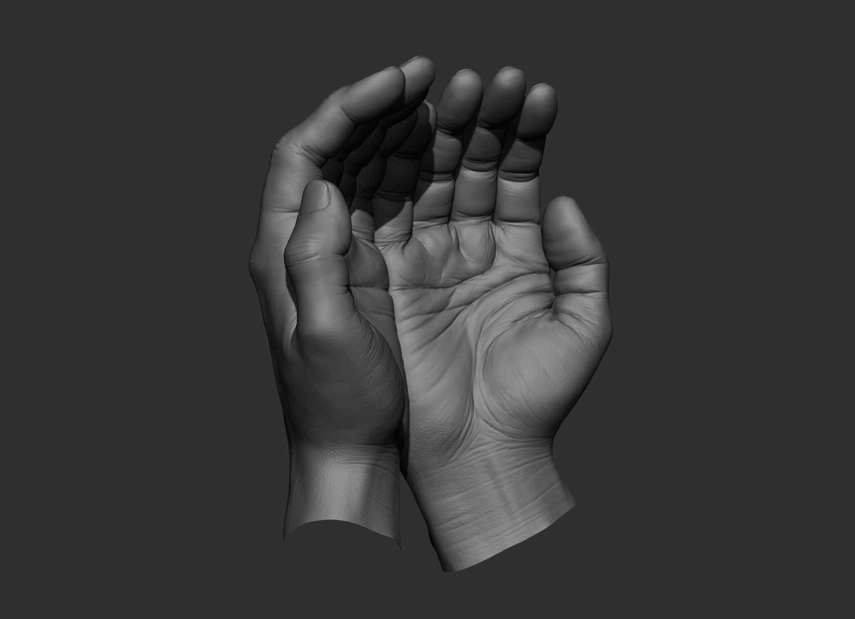 12 Male hand poses 3D model | CGTrader