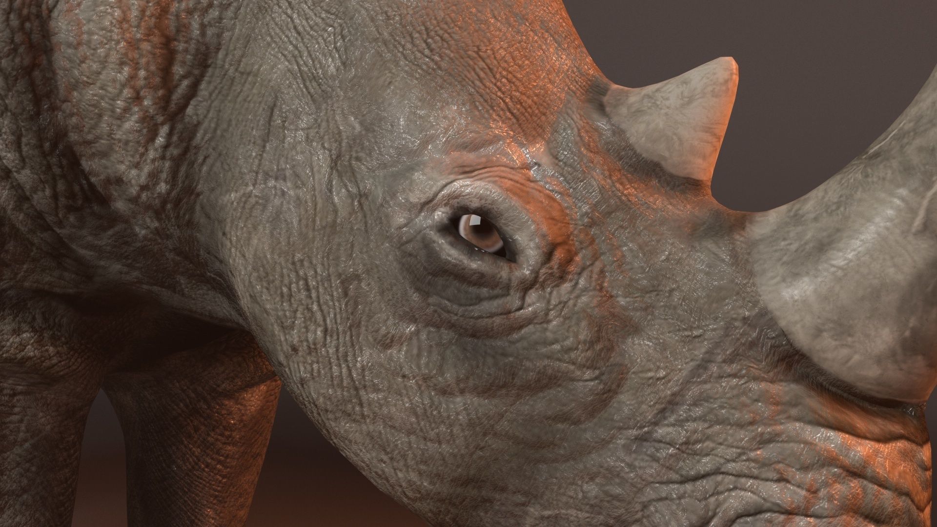 3D model Rhino 3d model rigged VR / AR / low-poly | CGTrader