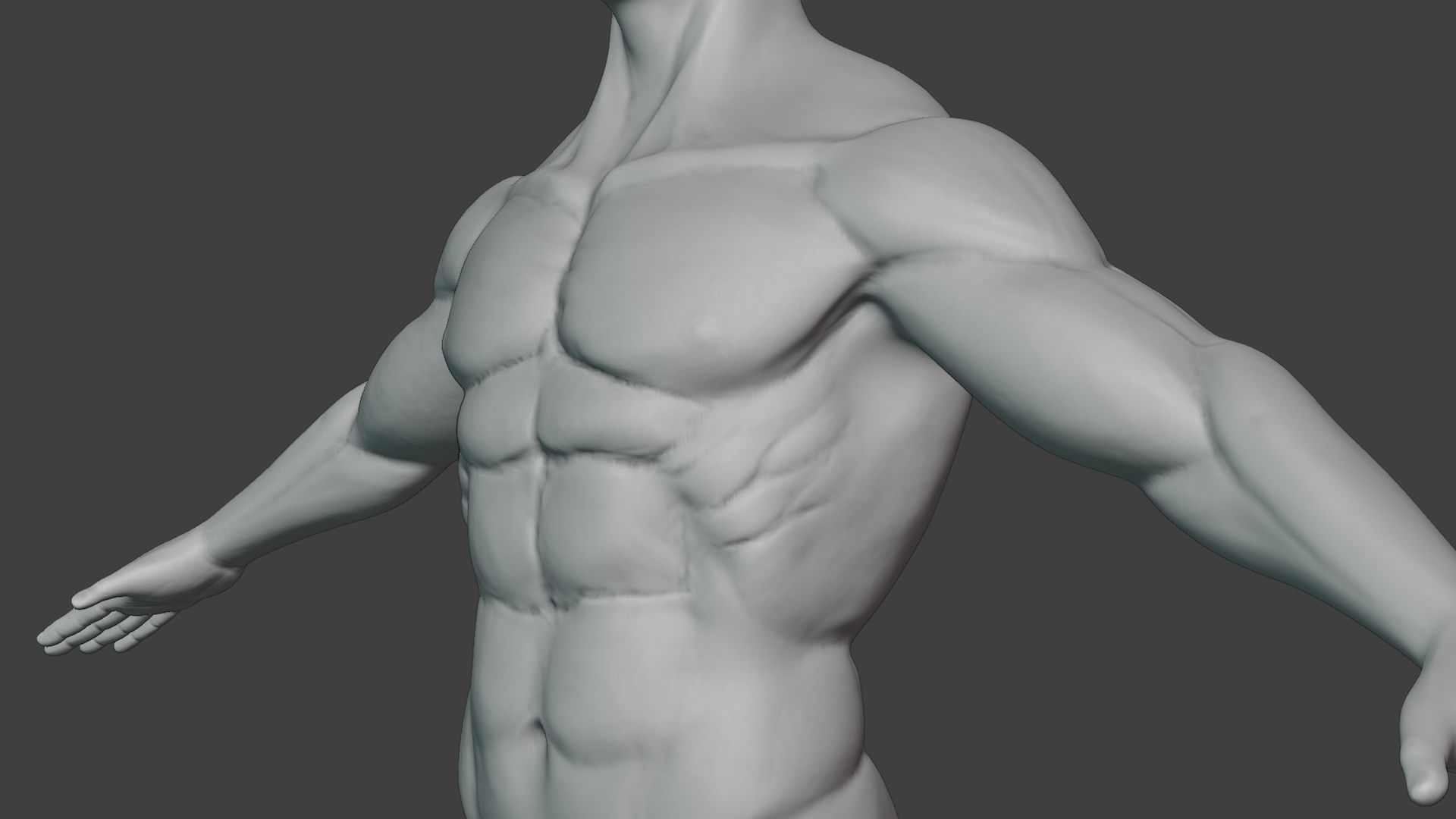 Male Body Base Athletic Sculpt 3D model | CGTrader