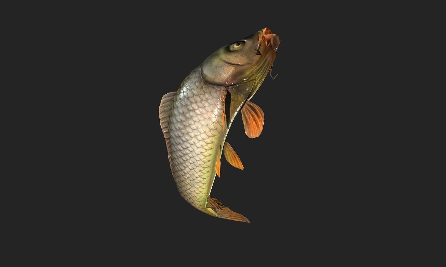 3D model animated carp fish VR / AR / low-poly | CGTrader