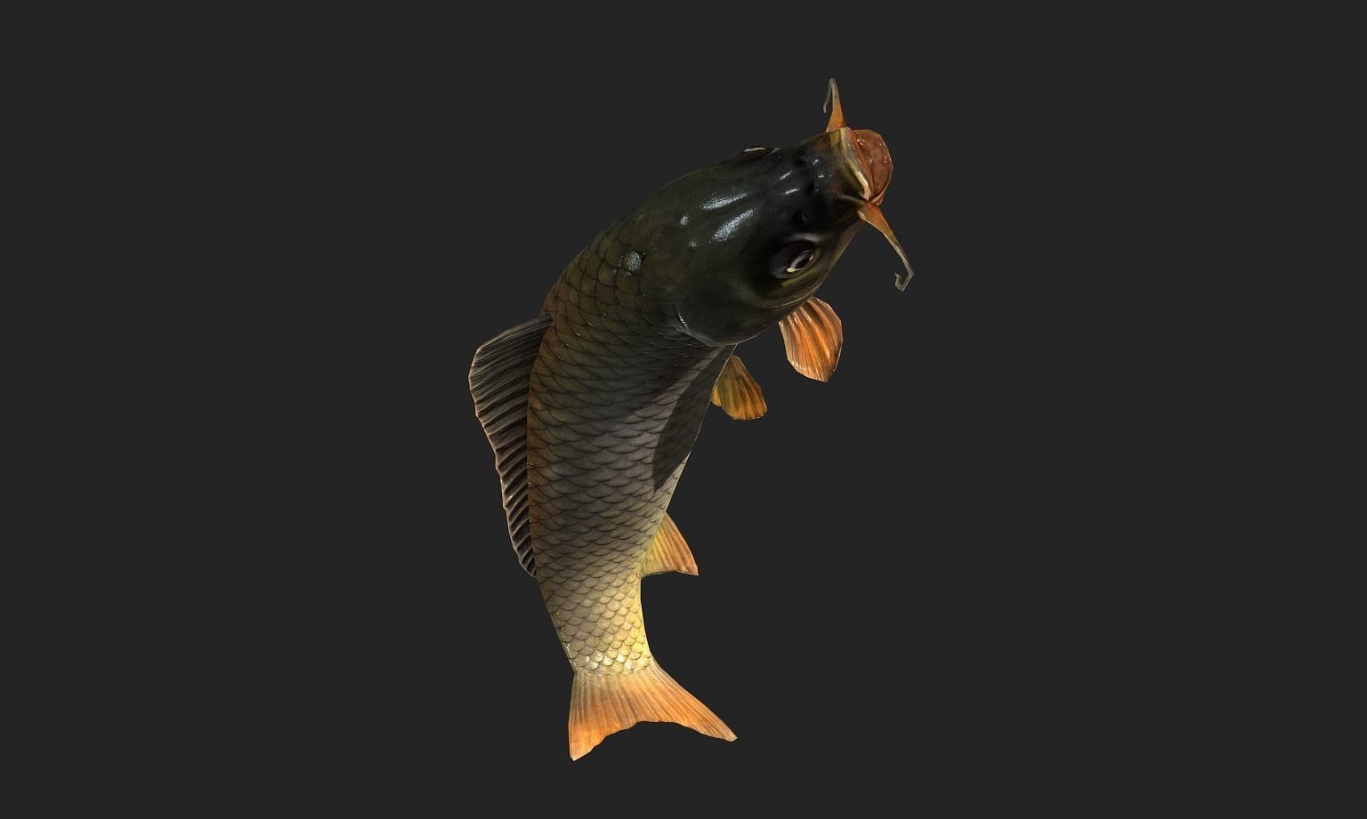 3D model animated carp fish VR / AR / low-poly | CGTrader