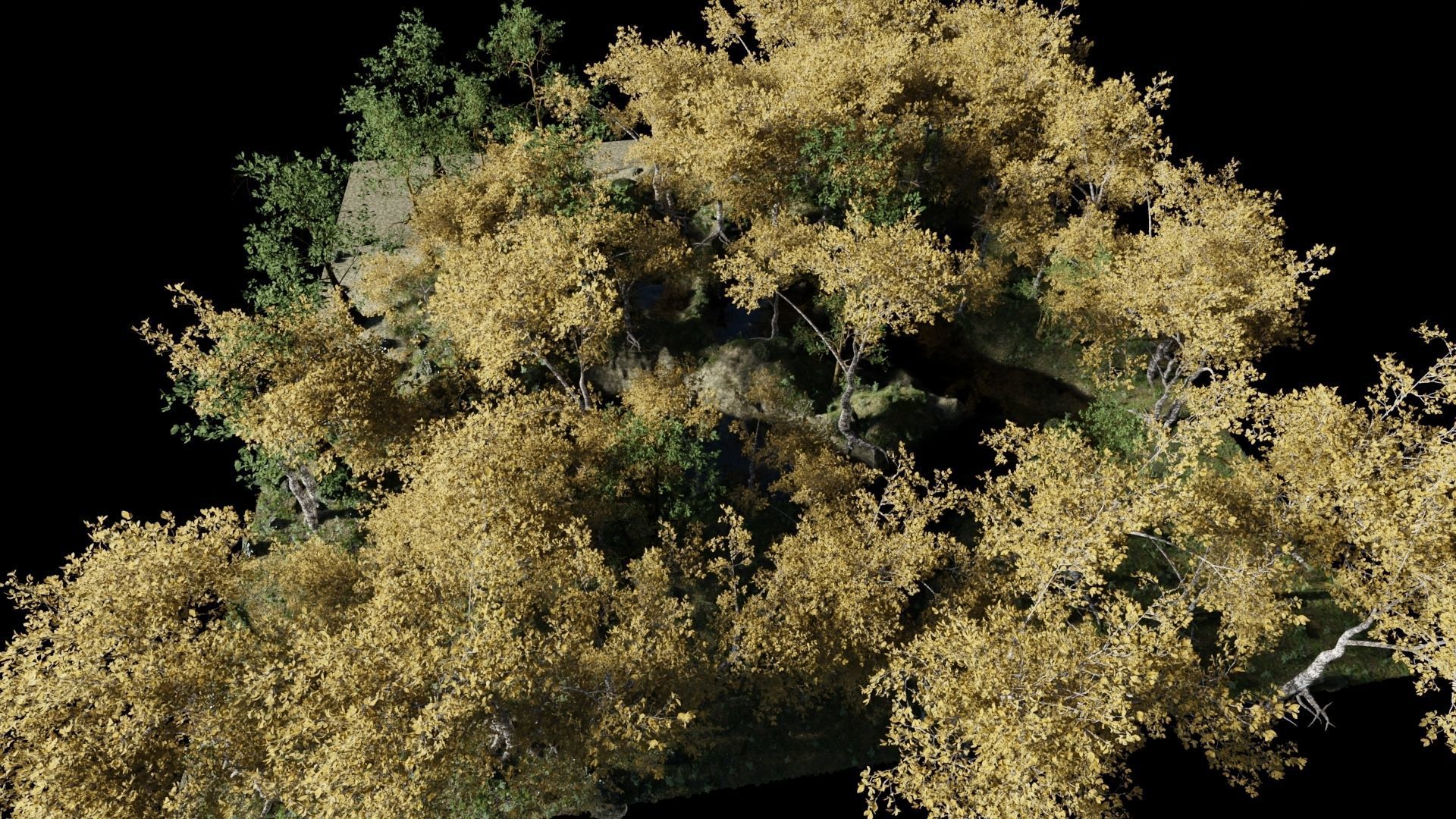Forest Scene 2 3D model | CGTrader