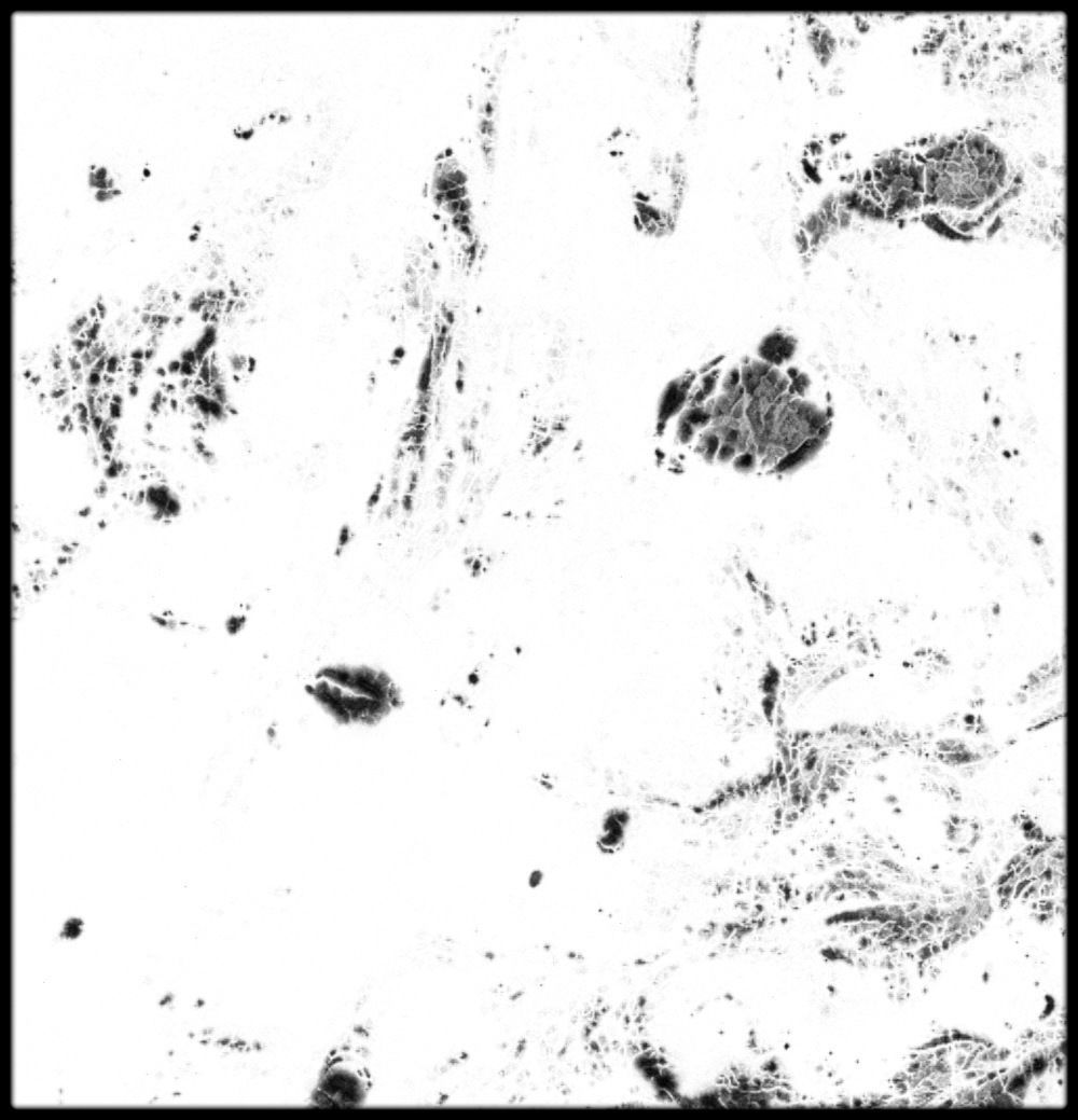 Sudan High resolution 31k cavity map Texture | CGTrader