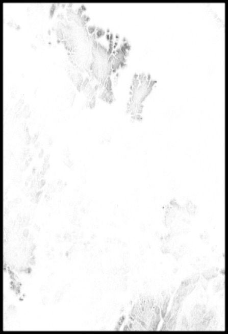 Lebanon High resolution 3k cavity map Texture | CGTrader