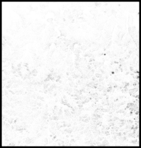 Lesotho High resolution 4k cavity map Texture | CGTrader