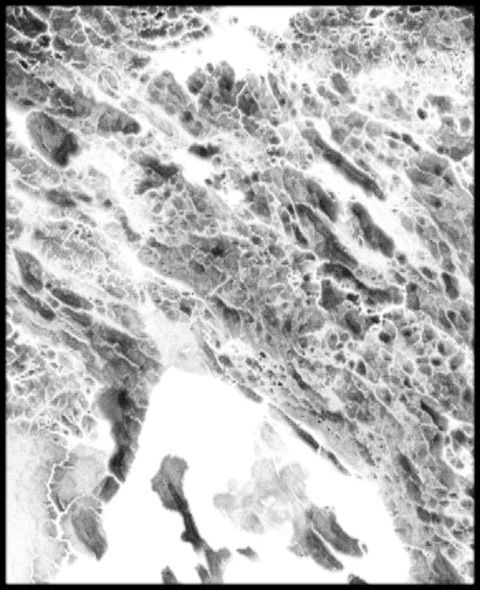 Slovenia High resolution 3k cavity map Texture | CGTrader