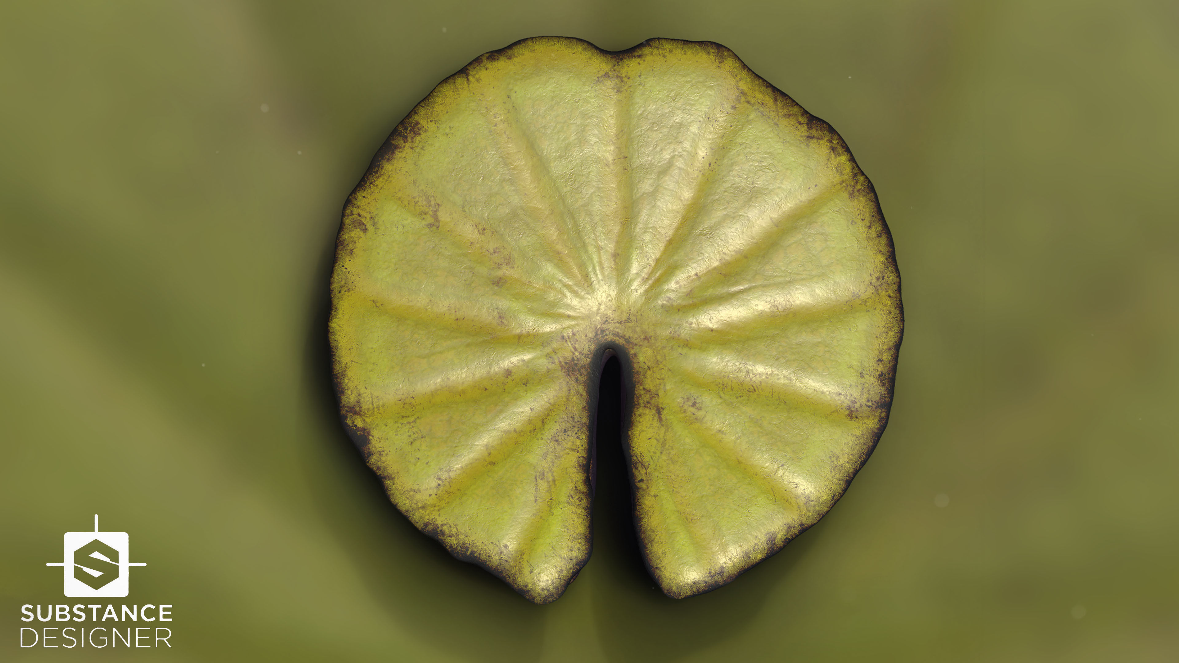 Water Lily PBR Texture | CGTrader