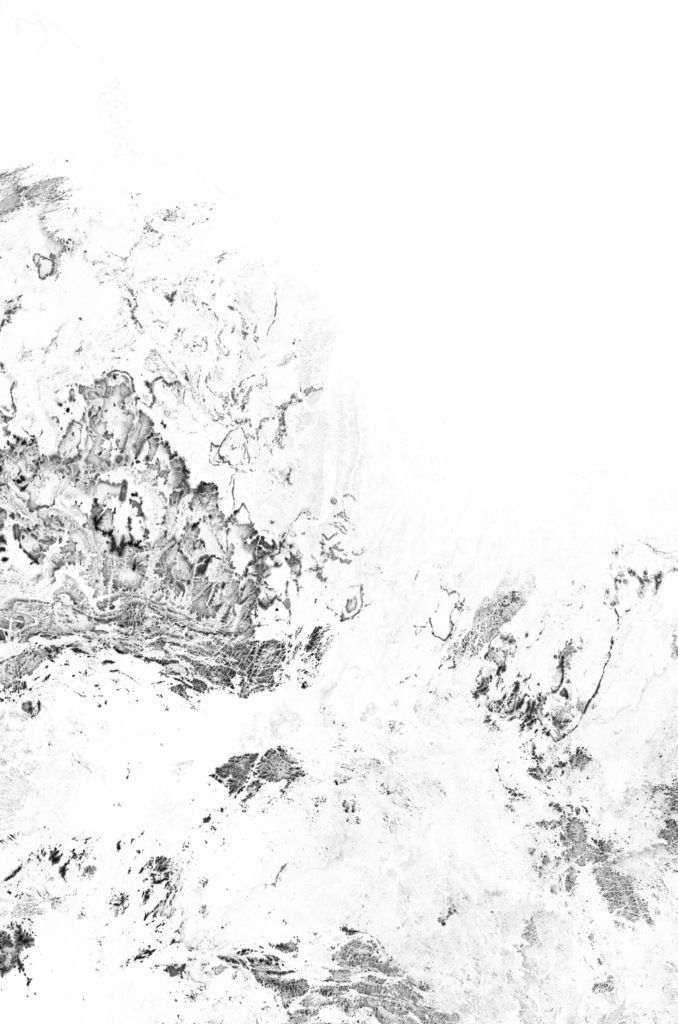 Guyana High resolution 14k cavity map Texture | CGTrader