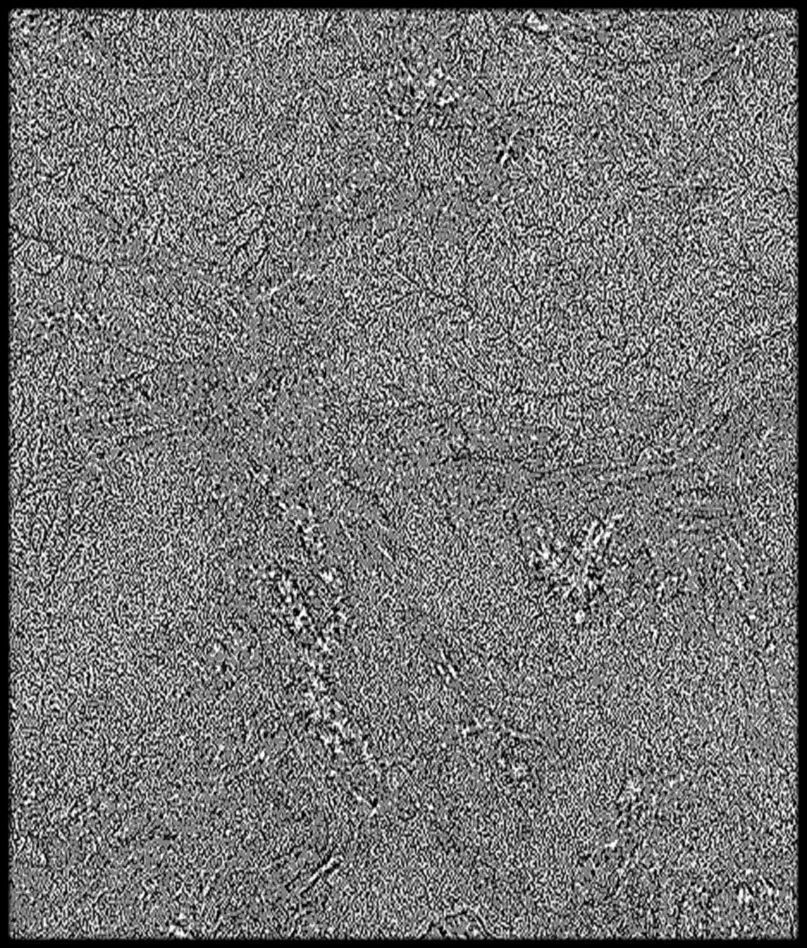 Guyana High resolution 14k curvature map Texture | CGTrader