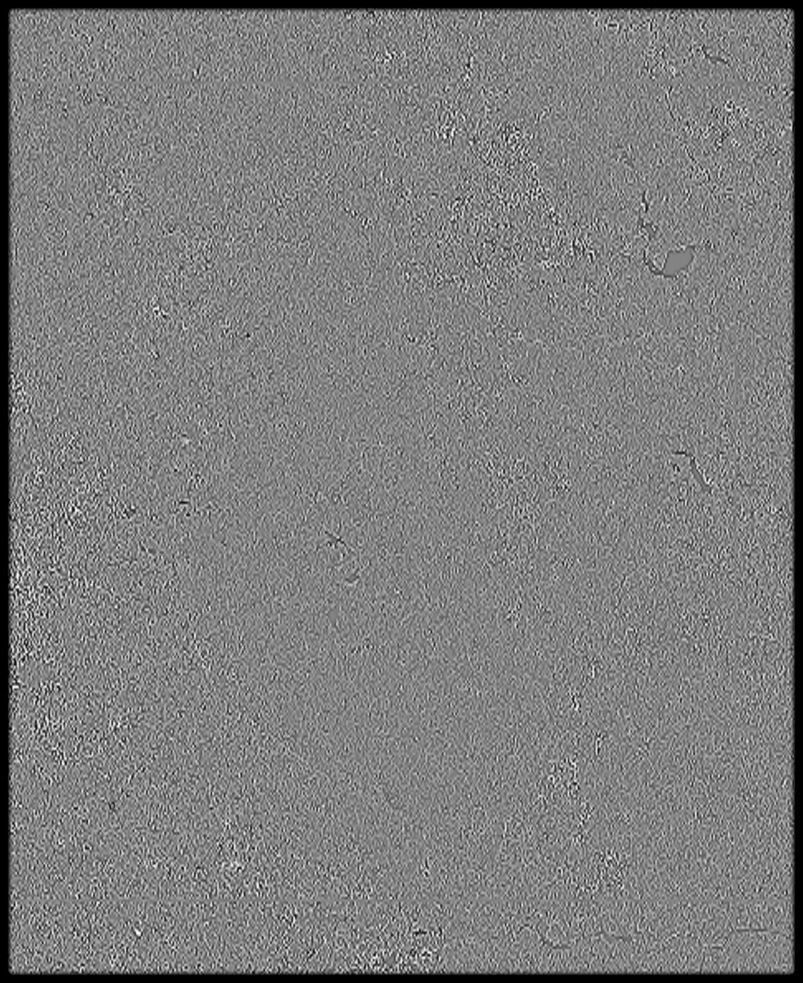 Iraq High resolution 16k curvature map Texture | CGTrader